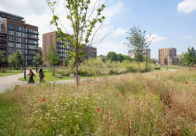 All Projects — Levitt Bernstein